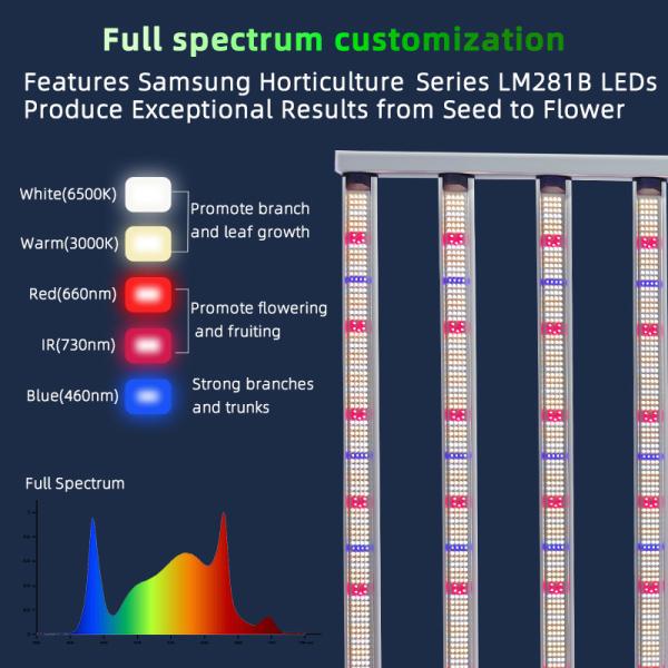 Quality LED Grow Lights For Seedlings Greenhouse Full Spectrum LED Grow Light 1200W for sale