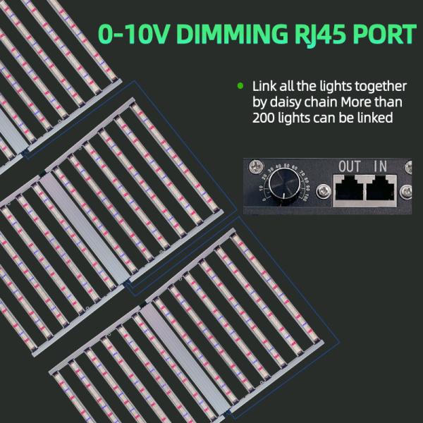 Quality LED Grow Lights For Seedlings Greenhouse Full Spectrum LED Grow Light 1200W for sale