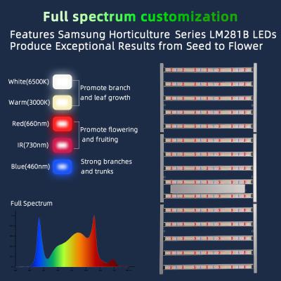 China 1500 Watt Full Spectrum LED Grow Light 240000LM Voor plantengroei Te koop
