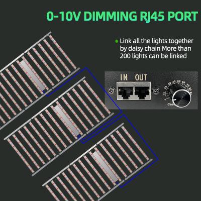 China 1500 Watt Full Spectrum LED Grow Light 240000LM Voor plantengroei Te koop