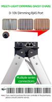 China Foldable Full Spectrum Dimmable LED Grow Light 1000W 3600Pcs LED Quantity for sale