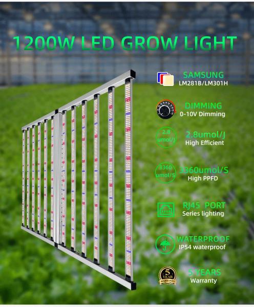 Quality Foldable 1200W LED Grow Light UV IR Energy Efficient For Indoor Gardening Compact LED Grow Light for sale