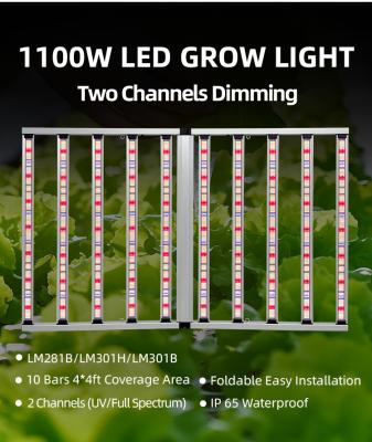 China Dual Cooling Fans and Foldable Design Full Spectrum LED Grow Light for Optimal Indoor Farming by Epista for sale