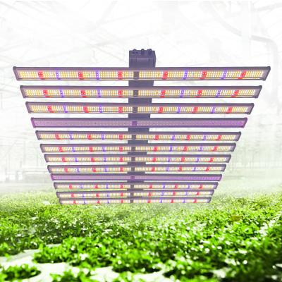 Cina Spettro completo 1200W piante di coltivazione idroponica luci a LED all'interno in vendita