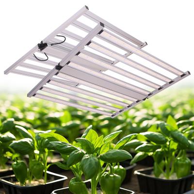 China 12 Strips Full Spectrum LED Grow Light High Ppe of 3.5 Umol/J 100w Rated Power Watt for Optimal Growth for sale