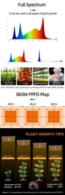 Cina 2 canali Full Spectrum 4 x 4 LED Grow Light 900W 5 anni di garanzia in vendita