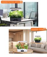 China Timer Function Enabled Intelligent Hydroponic Planter in White Powered by Electricity for sale