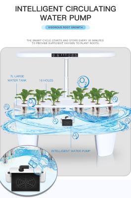China LED Lighting and Intelligent Circulating Water Pump Integrated Hydroponic Growing System for Plants for sale