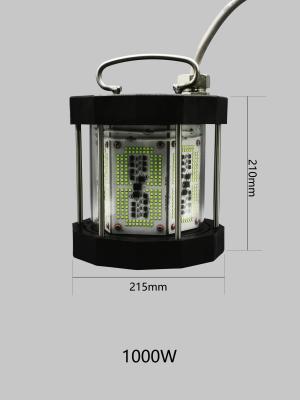 Onderwater LED-visserijlamp met 120 graden straalhoek 1000 W voor diepzeevisserij