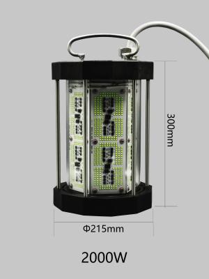 Krachtig 2000W beste LED visserslicht voor diepzee, waterdicht visserslicht voor boten