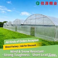 China Multi‑Span Plastic‑Film Greenhouse for sale