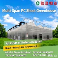 China PC Sheet Multi‑Span Greenhouse for sale