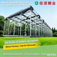 China Multi‑Span Polycarbonate & Glass Composite Greenhouse for sale