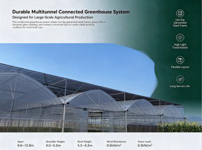 China Durable multitunnel connected greenhouse system designed for large scale agricultural and optimized crop growth conditions for sale