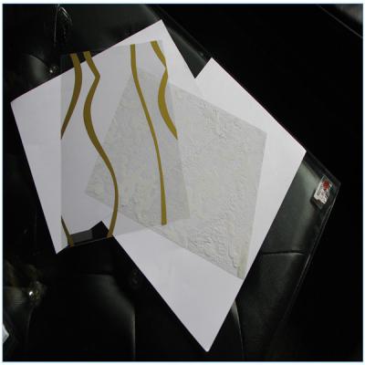 China New designs PET Decorative Film for Office Building Window  for sale