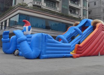 China Clown Bouncy Slide Large Inflatable Water Slides With Sun Cover for sale