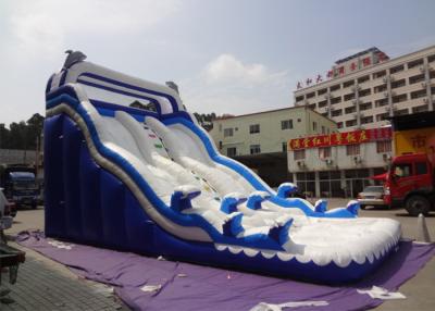China Outdoor Double Dolphin Inflatable Backyard Water Slide With 9L X 4W X6H for sale
