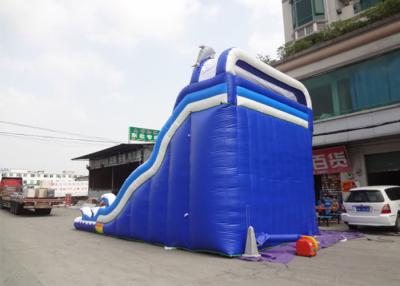 China Outdoor Double Dolphin Inflatable Backyard Water Slide With 9L X 4W X6H for sale