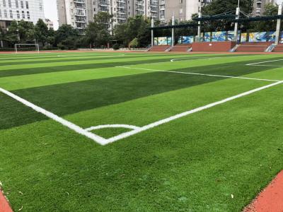 China 50mm Gym Artificial Turf Carpet 4x25m Football Field Rug for sale