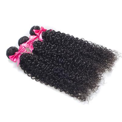 Cina I capelli vergini bagnati ed ondulati vergini brasiliani dei capelli 7A di struttura riccia, impacchettano l'estensione in vendita