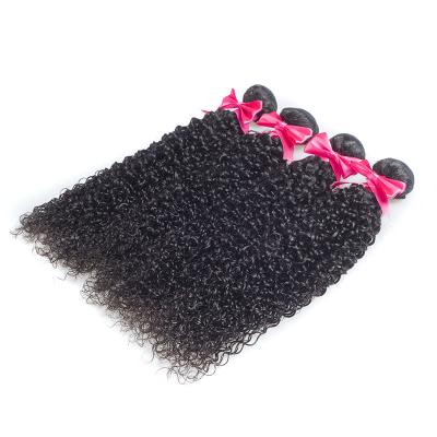 Cina I capelli vergini bagnati ed ondulati vergini brasiliani dei capelli 7A di struttura riccia, impacchettano l'estensione in vendita