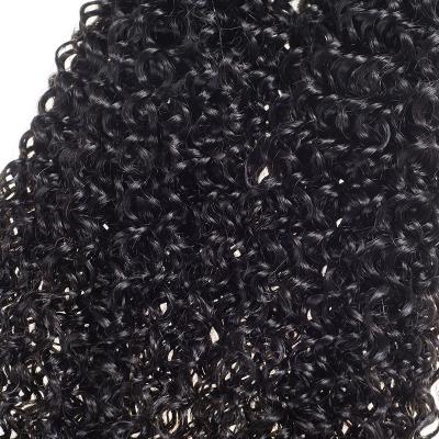 Cina I capelli vergini bagnati ed ondulati vergini brasiliani dei capelli 7A di struttura riccia, impacchettano l'estensione in vendita