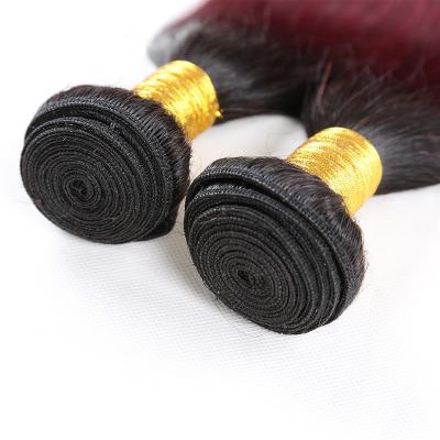 Cina Estensioni brasiliane dei capelli umani di Ombre del tessuto dei capelli di Ombre del vergine 12
