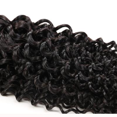Cina Classifichi i capelli vergini ricci dei pacchi brasiliani dei capelli ondulati 8A dalla ragazza in vendita