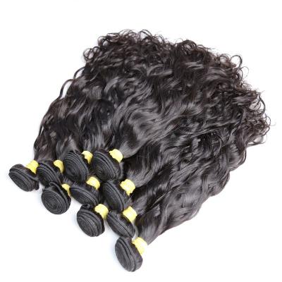 Cina I capelli umani brasiliani naturali di Wave impacchettano per i capelli lunghi delle donne di colore/lo spargimento liberamente in vendita
