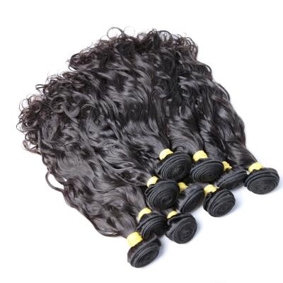 Cina I capelli umani brasiliani naturali di Wave impacchettano per i capelli lunghi delle donne di colore/lo spargimento liberamente in vendita