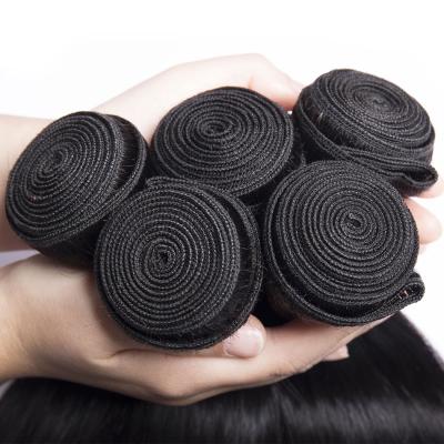 Cina Nessuno spargimento/che aggroviglia i capelli umani brasiliani impacchetta/capelli diritti 8a di estensione in vendita