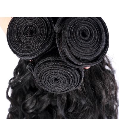 Cina Capelli umani brasiliani non trattati di Wave di acqua 100, pacchi neri naturali dei capelli ricci  in vendita
