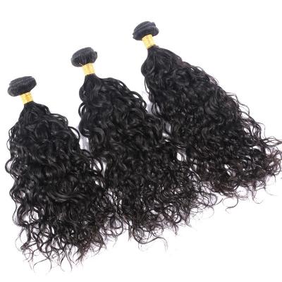 Cina Capelli umani brasiliani non trattati di Wave di acqua 100, pacchi neri naturali dei capelli ricci  in vendita