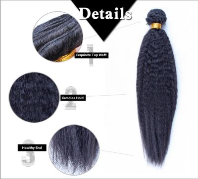 Cina I capelli umani brasiliani malesi diritti crespi impacchettano 100% non trattato in vendita