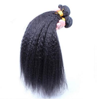 Cina I capelli umani brasiliani malesi diritti crespi impacchettano 100% non trattato in vendita