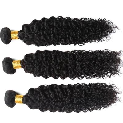 Cina Estensioni ricce dei capelli umani dei pacchi vergini dei capelli umani del grado 7A 3 pacchi messi in vendita