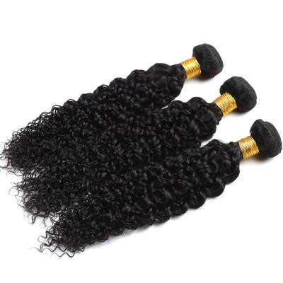 Cina Estensioni ricce dei capelli umani dei pacchi vergini dei capelli umani del grado 7A 3 pacchi messi in vendita