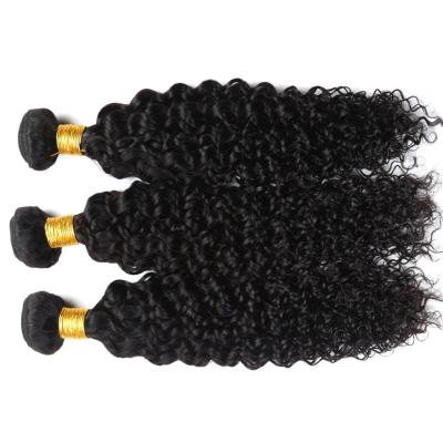 Cina Estensioni ricce dei capelli umani dei pacchi vergini dei capelli umani del grado 7A 3 pacchi messi in vendita