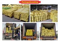 China Factory Price Sofa Spring Customized Zigzag Spring For Sofa for sale