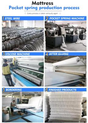 China Mattress Pocketed Coil Spring 1.9mm Customized Pocket Spring Factory for sale