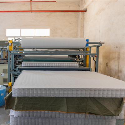 China Compressed Rolled Mattress Pocket Spring Coil Zone Pocket Spring Unit for sale