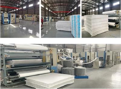 China Zona de alta transpirabilidade Personalização de mola de bolso à venda