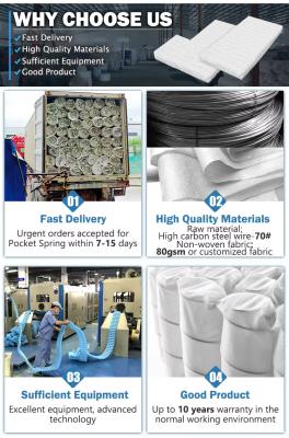 Cina Pocket Spring Factory Custom Pocket Spring Inner Spring Unit Pocket Coil Spring per divano in vendita