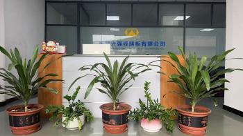 China Factory - Dongguan Xingqiang Circuit Board Technology Co., Ltd.