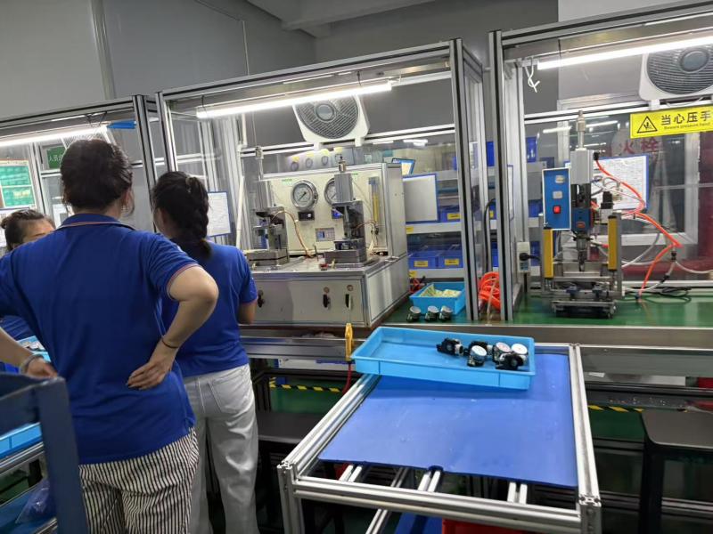 確認済みの中国サプライヤー - Ruian wego auto parts co.,ltd