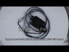 5461619 Abgastemperatursensor SCR-System für Cummins DAF