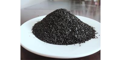 China Pericarps Activated Charcoal for sale