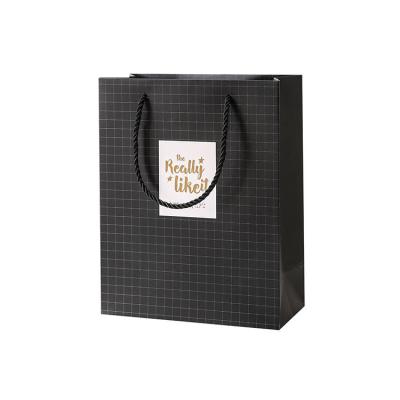 中国 Toowin Luxury Business Gift Paper Bag with Ribbon Handle and Customised Printing 販売のため
