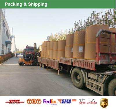 China Flexiloop Handle Kraft Paper Shopping Gift Bag met aangepaste kleur en Taobao Print Te koop