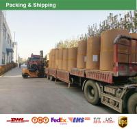 China Custom Biodegradable Pyramid Tea Bag Filter Paper with Thread Roll 100pcs for sale
